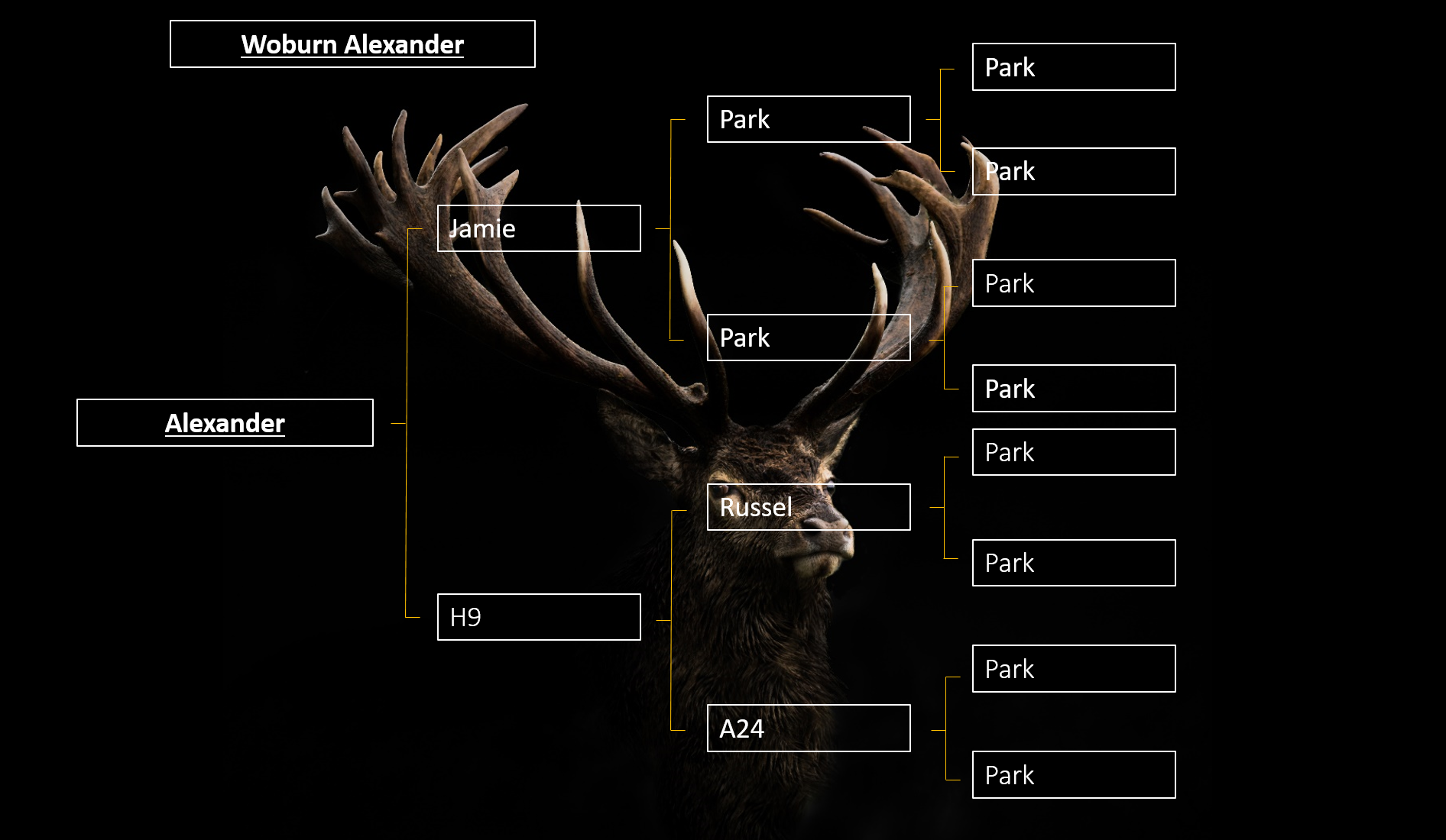 Woburn Alexander