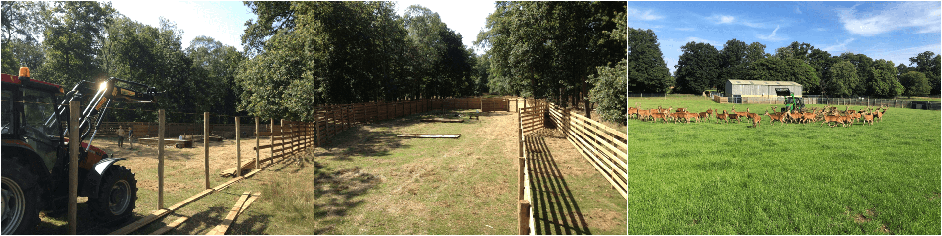 Starting a Deer Farm or Park